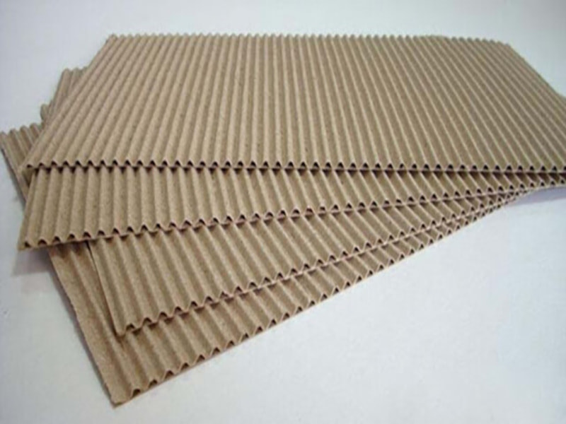 Khay carton sóng - Bền bỉ, thân thiện với môi trường 2026